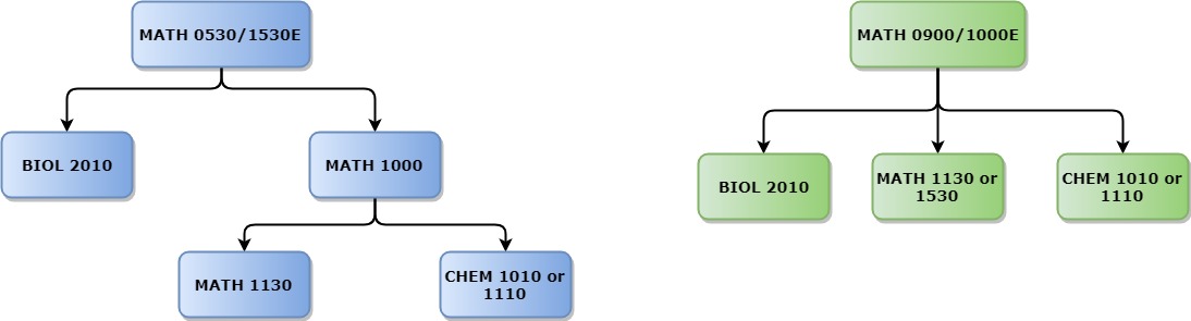 Mathematics Learning Support (MLS) - Roane State Community College